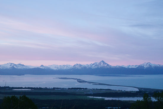 Contact Us | Homer Fish Processing