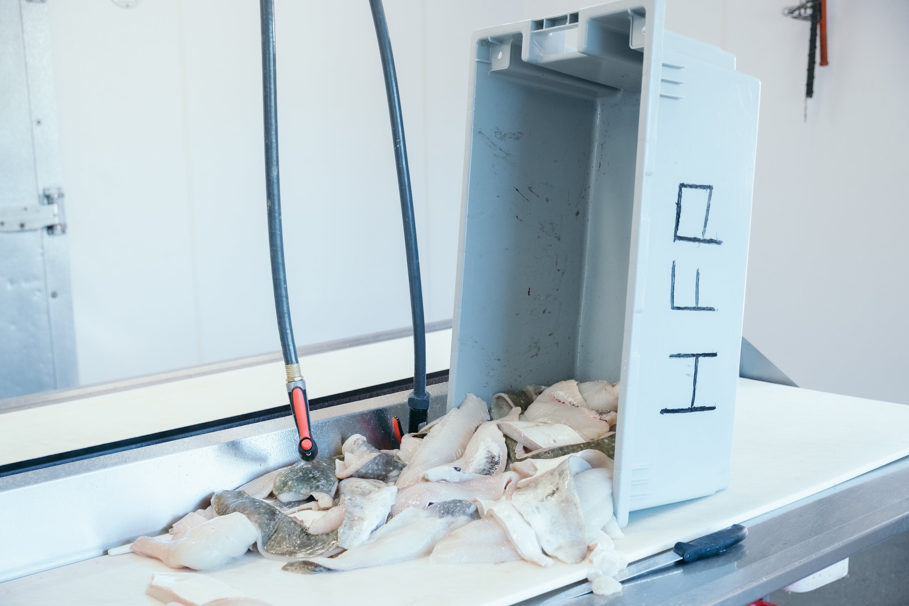 Our Story: Family & Sustainable Seafood | Homer Fish Processing